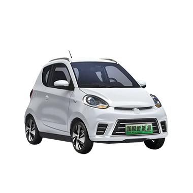 Shandong Gaia New Energy Tech. Co.,Ltd._Cheapest EV_Electric cars