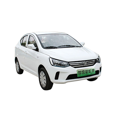 Shandong Gaia New Energy Tech. Co.,Ltd._Cheapest EV_Electric cars